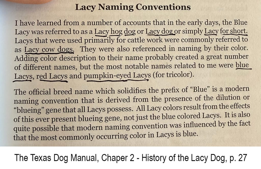 Lacy Naming, Color Variety, Color & Pattern – National Lacy Dog Registry